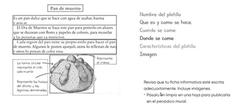 Ficha Informativa Educafichas Net