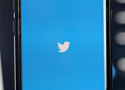 Musk Lanza Encuesta Sobre Dejar Twitter Guía De Franquicias Guía De