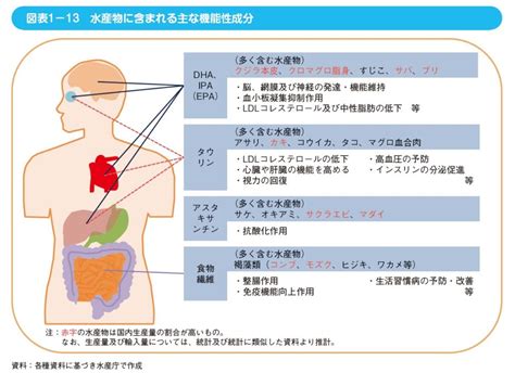 ウェルネスデイリーニュース 水産白書に見る消費拡大の工夫 栄養成分を活かした機能性表示食品による拡大策も