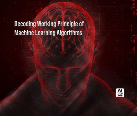Everything About Machine Learning Algorithms You Need To Know