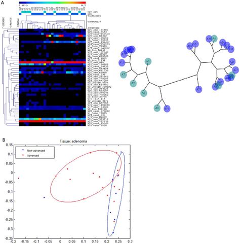 A The Heatmap And Hierarchical Clustering Of Subjects With Advanced