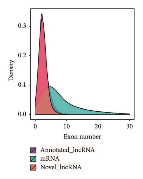 Comparative Analyses Of Cad Lncrnas And Mrnas A Transcript Size