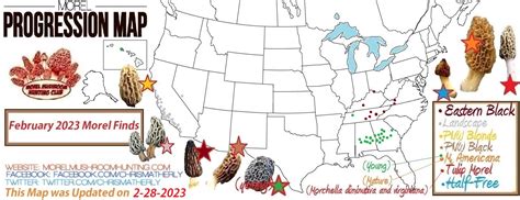 Official Morel Mushroom Progression Maps Finds Reports Sightings