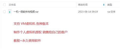 游戏虚拟机 硬件级虚拟机 Vm虚拟机 洗剪吹虚拟机 虚拟机过检测 虚拟机过vmp