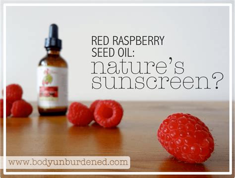 Red Raspberry Seed Oil Nature S Sunscreen Body Unburdened