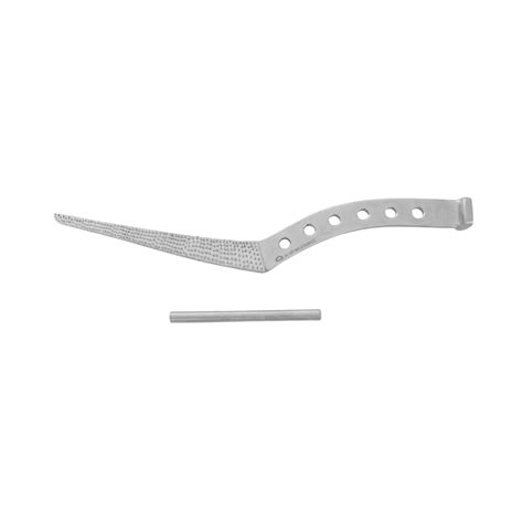 Moore Type Rasp With Tomy Bar