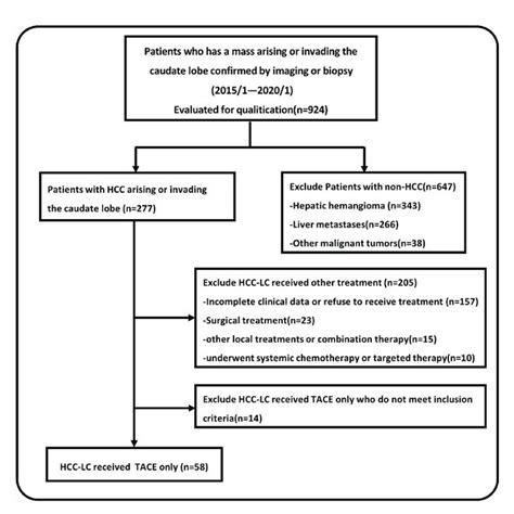 Patient Enrolment And Categorization Flow Chart Download