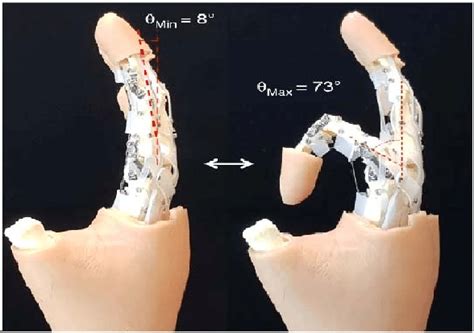 Electro Tendon From Liang Pan Et Al Nature Communication 2020