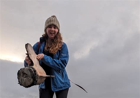 Finished Page Termination Point My Kodiak Adventures