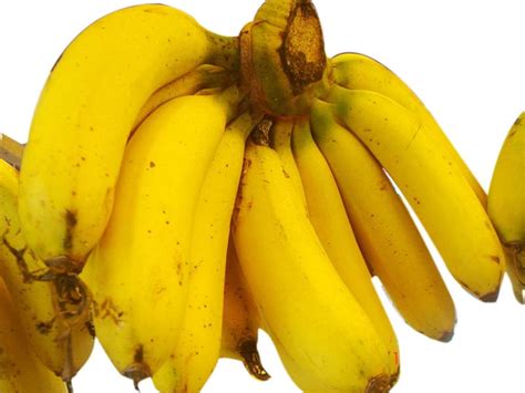 Rastali Banana By Sri Bananas Rastali Banana From Hosur Tamil Nadu
