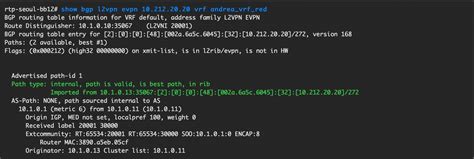 Deploy EVPN VXLAN Multi Site Via DCNM 11 2 1 Cisco