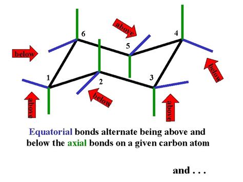 Drawing Cyclohexane Parallel Bonds Equatorial Bonds Axial Bonds