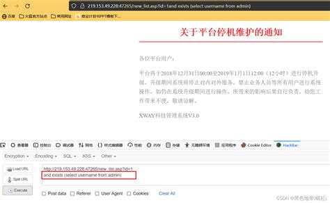 （15）web安全渗透测试网络安全 超详细 Access，mysql，mssql，postgresql，oracle手工和工具注入access和postgresql Csdn博客