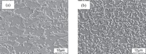 Sem Micrographs Showing Microstructures In Annealed Dual Phase Steel Download Scientific