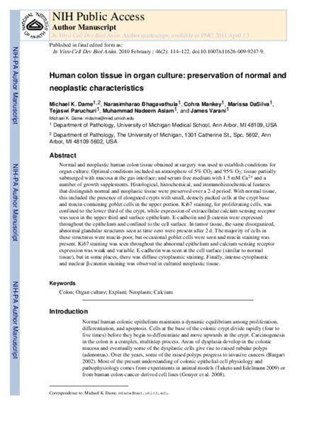 Pdf Human Colon Tissue In Organ Culture Preservation Of Normal And