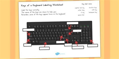 keys of a keyboard labelling worksheet australia