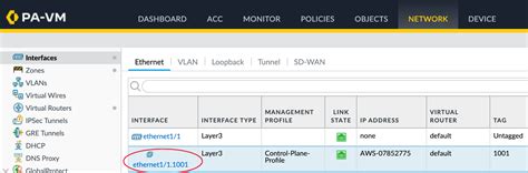 Connecting MVEs Integrated With Palo Alto Networks VM Series Megaport