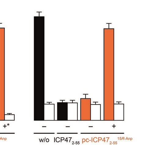 Photo Modulated Peptide Transport Of Tap A Peptide Transport Was Download Scientific Diagram