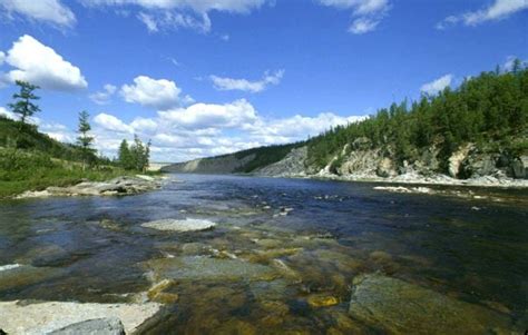Среднесибирское плоскогорье - Сайт Природа