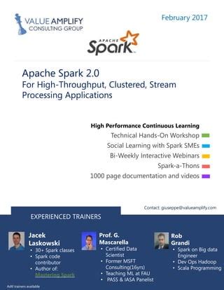 Spark Training Program Value Amplify Consulting PDF