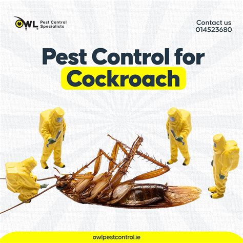 Owl Pest Control Ltd On Linkedin Owlpestcontrol Pestcontrol