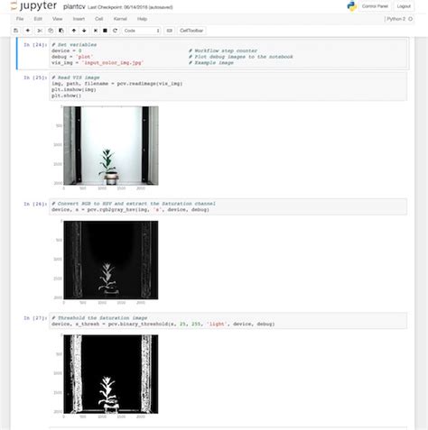 Using Jupyter Notebooks PlantCV