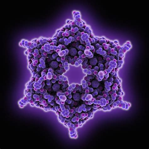 Chymotrypsin Inhibitor 2 Molecule Photograph By Science Photo Library