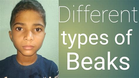 Different Types Of Beak Youtube