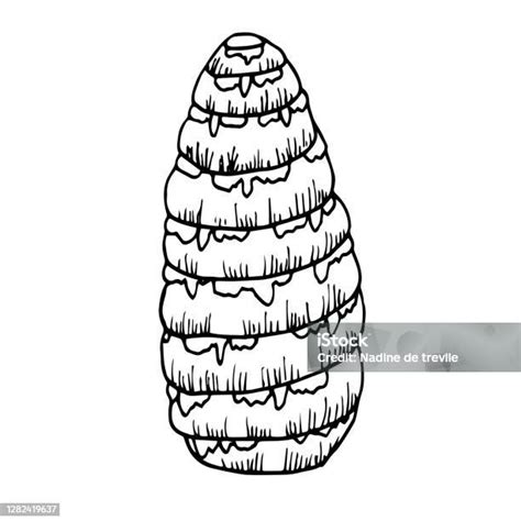 손으로 그린 전나무 원뿔 단일 전나무 원뿔은 흰색 배경에서 격리됩니다 스케치 스타일로 그림입니다 엽서 디자인 장식용 새해 선형 도면 0명에 대한 스톡 벡터 아트 및 기타