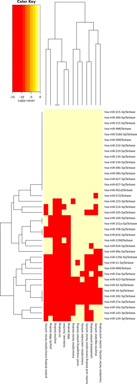 Heatmap Of Go Molecular Function Vs Significant Dysregulated Mirnas