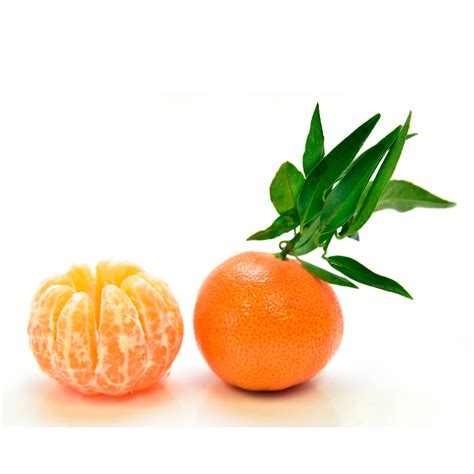 Mandarina 12 Libra Cosecha Orgánica Becampo