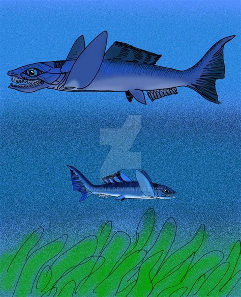 Diplognathus By Avancna On Deviantart