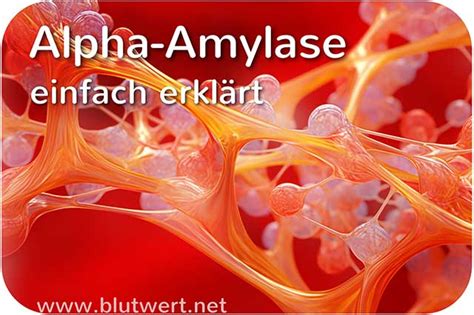 Was Sagt Der Alpha Amylase α Amylase Blutwert Aus