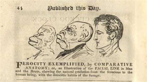 Racial And Ethnic Stereotypes Digital Cruikshank