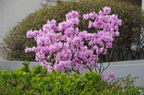 🍀 행복한 사람이 된다는 것은🍀 꿀팁 캐시피드