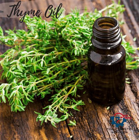 น้ำมันหอมระเหยโหระพา Thyme Essential Oil Tcicosmetic