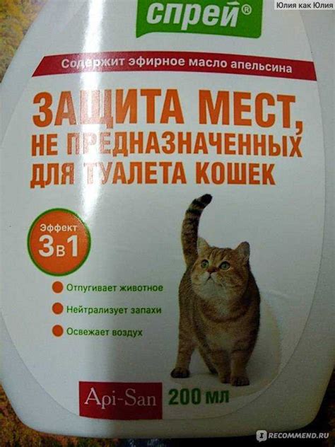Как отвадить кошек: эффективные способы отпугивания соседских котов с ...
