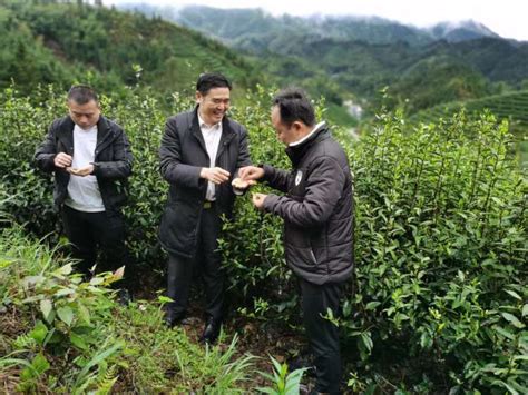 西九龙边检站入境服务组：躬身守国门 巾帼绽芳华