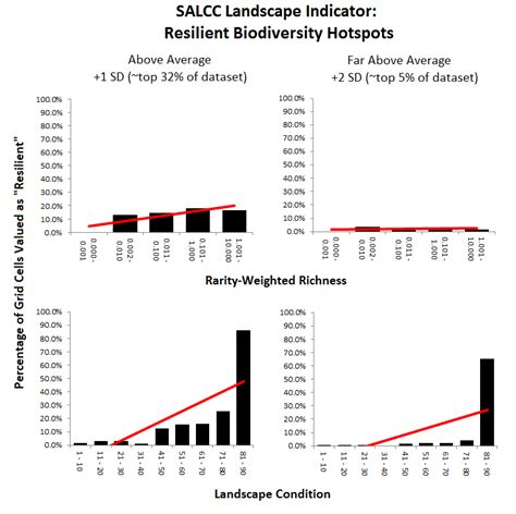 B Continuation Of The Evaluation Of The Primary Indicator