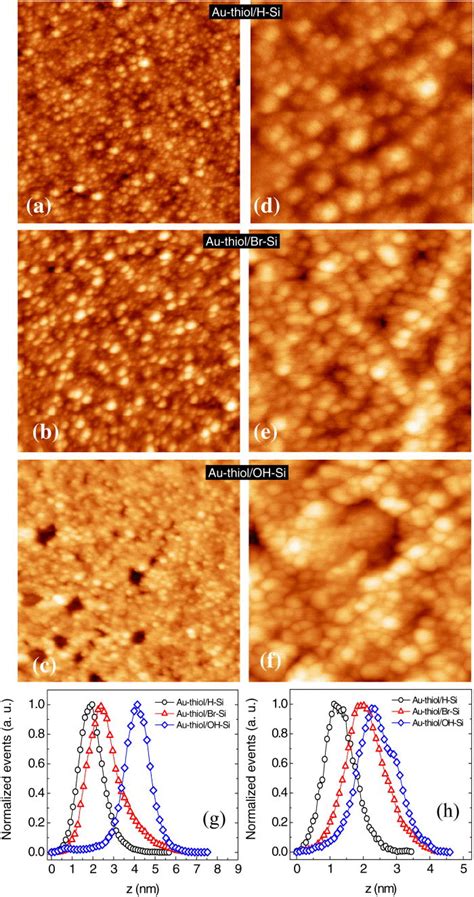 Color Online Atomic Force Microscopy Images Obtained From The