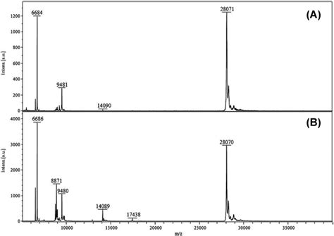 Maldi Mass Spectra Of Hdl Fractions From A Healthy Subject A And A