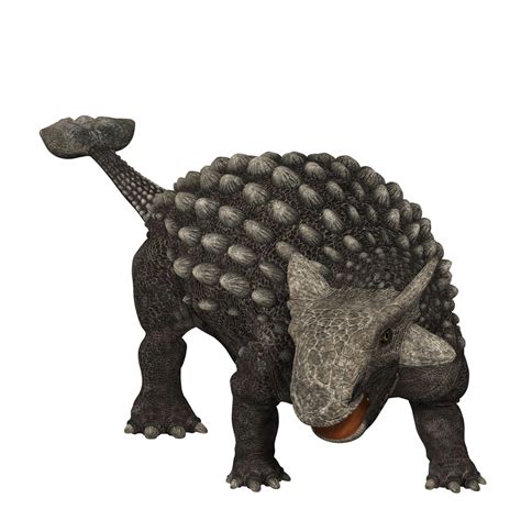 Albums 91 Pictures Dinosaur With Spikes On Back And Club Tail Full Hd