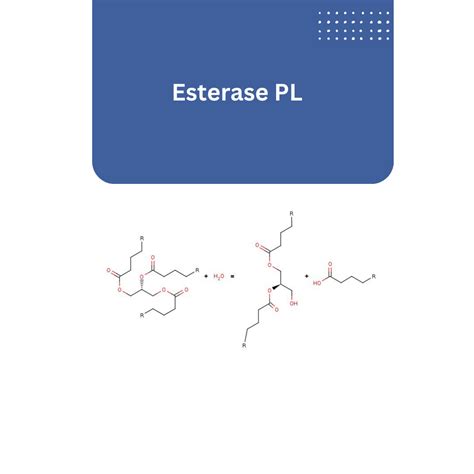 Esterase Pl Asa Spezialenzyme Gmbh