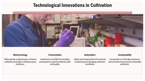 Exploring Streptomyces Erythreus Natures Antibiotic Powerhouse Ppt