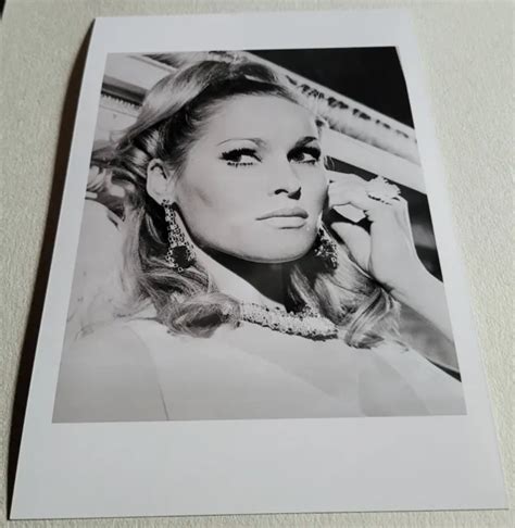 Schauspielerin Ursula Andress Erotikfilm Star Foto Format Ca 13 X 19