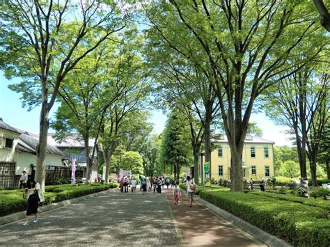 季節のスケッチ（2019年6月 郷土の森博物館）