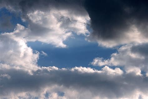 Loose And Dark Cloud Free Stock Photo Public Domain Pictures