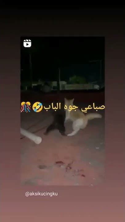 صباعي جوه الباب افتح الباب🤣 ️ Youtube