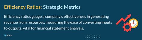 Efficiency Ratios Overview Uses In Financial Analysis Examples