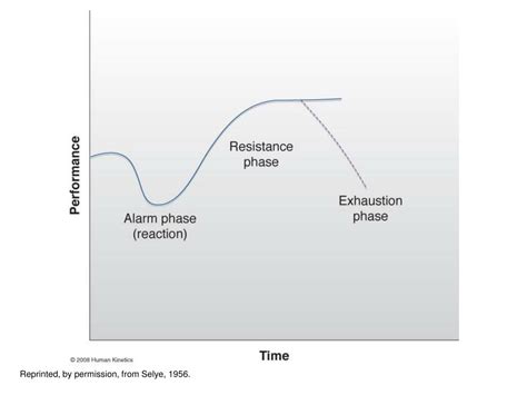 Ppt Periodization Powerpoint Presentation Free Download Id 1203880